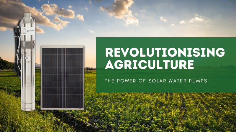 Revolutionising Agriculture: The Power of Solar Water Pumps - Cedar Solar